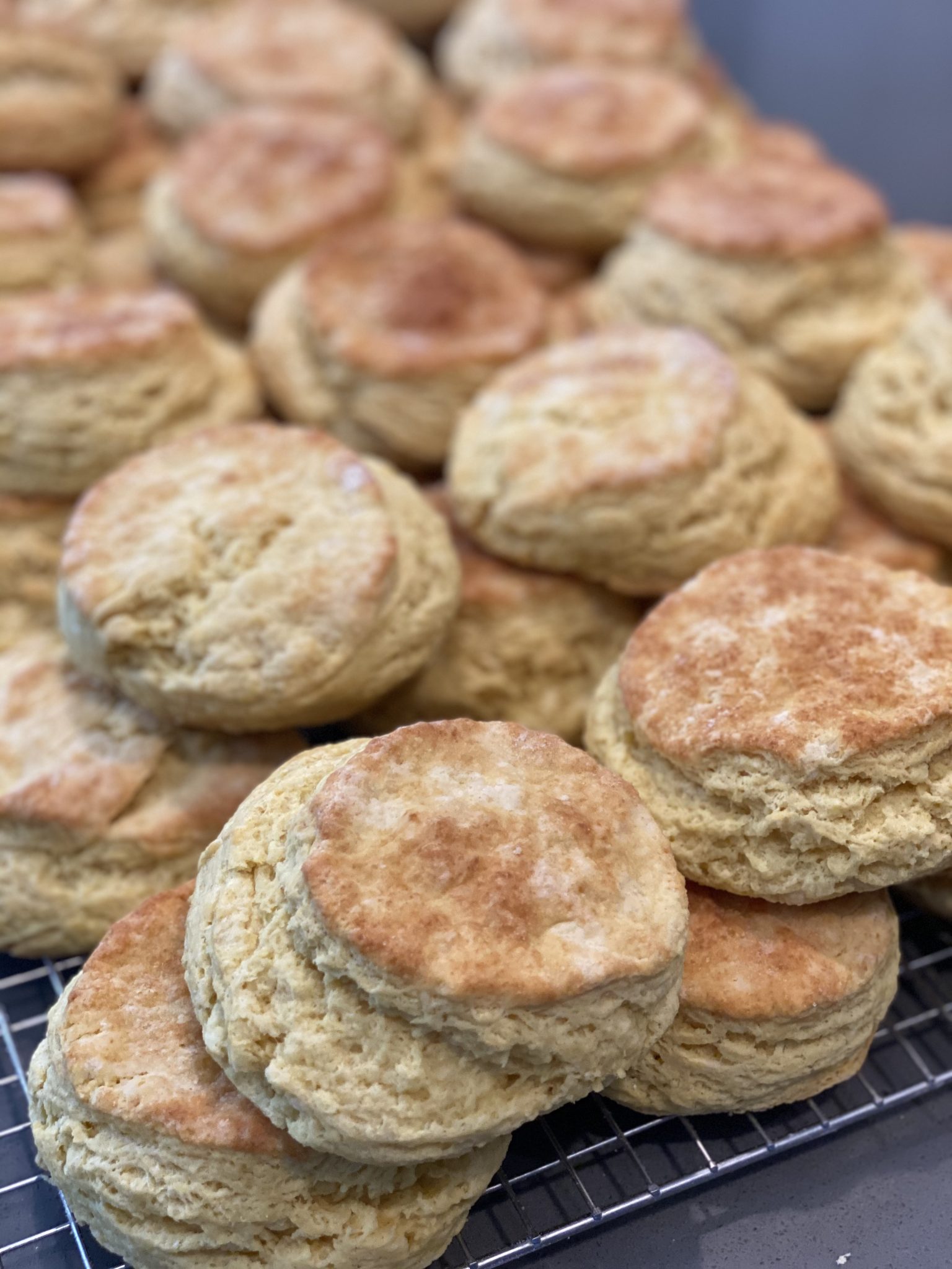 Rolling out Wilhelm’s Unique Biscuits in January for Sunday Brunch ...